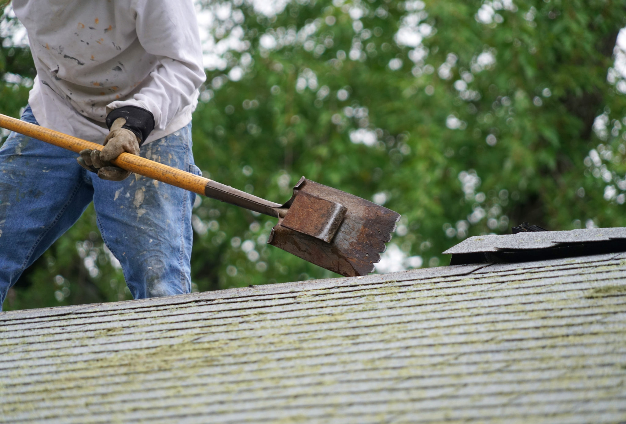 Roofing Tear Off How To Tear Off Your Old Roofing 2023 Roofing Tear Off How To Tear Off Your Old Roofing 2023